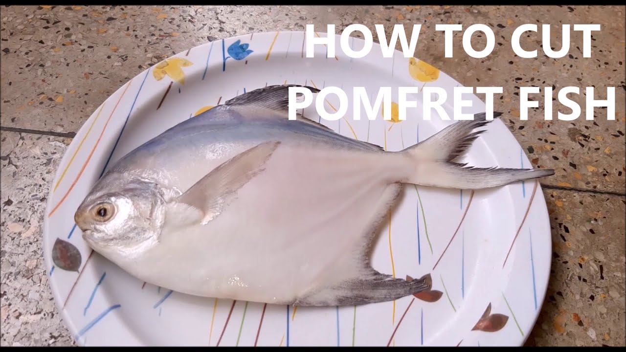 HOW TO CUT AND CLEAN BIG WHITE POMFRET FISH AT HOME IN A EASY WAY /TIPS ...