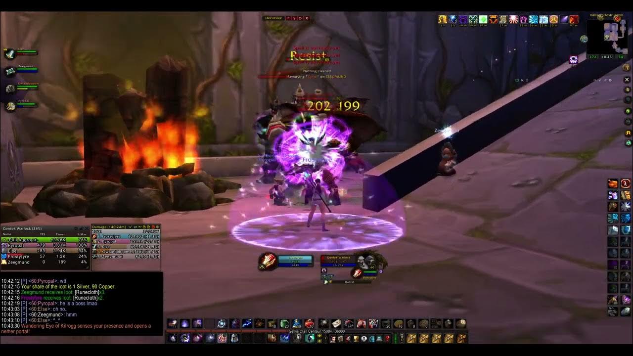 Turtle wow - DMN tribute run - 2 February - Mage POV - YouTube