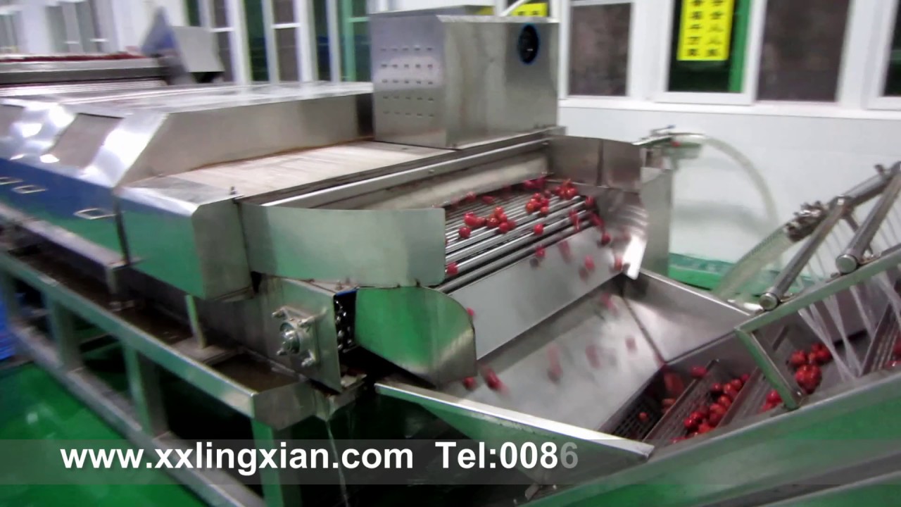 Lychee Peeling machine, Lychee Juice Processing Equipment, how to ...