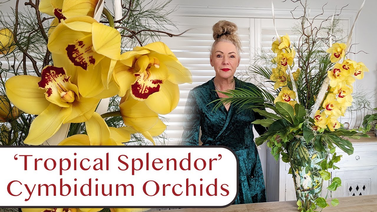 'Tropical Splendour' Cymbidium Orchid floristry design - YouTube