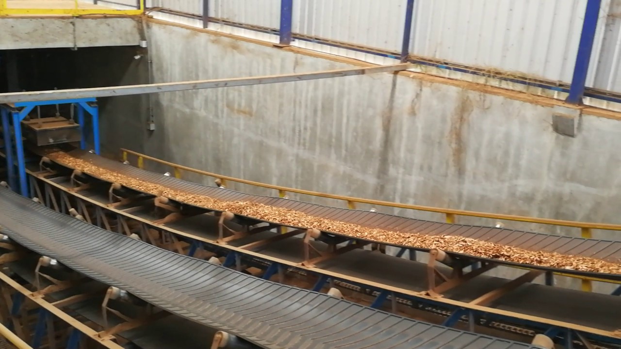 Wood Chip Belt Conveyor - YouTube
