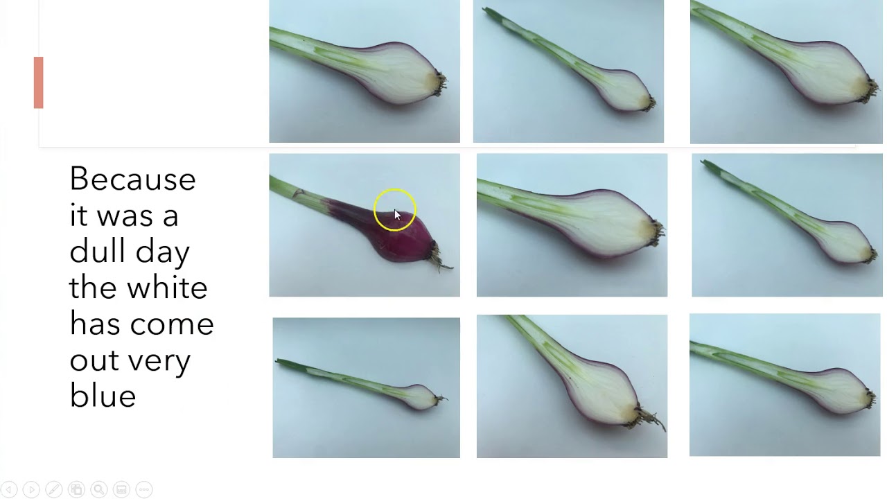 Functional Photography homework week 4 - YouTube