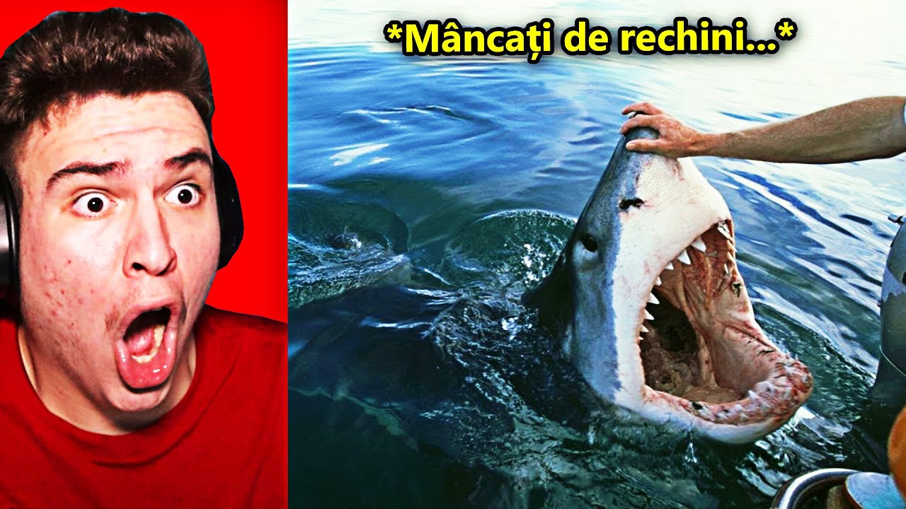 Oameni care aproape au fost mâncați de RECHINI !! *înfricoșător* - YouTube