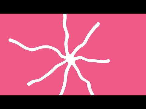 Maria Hajsy - Szkło