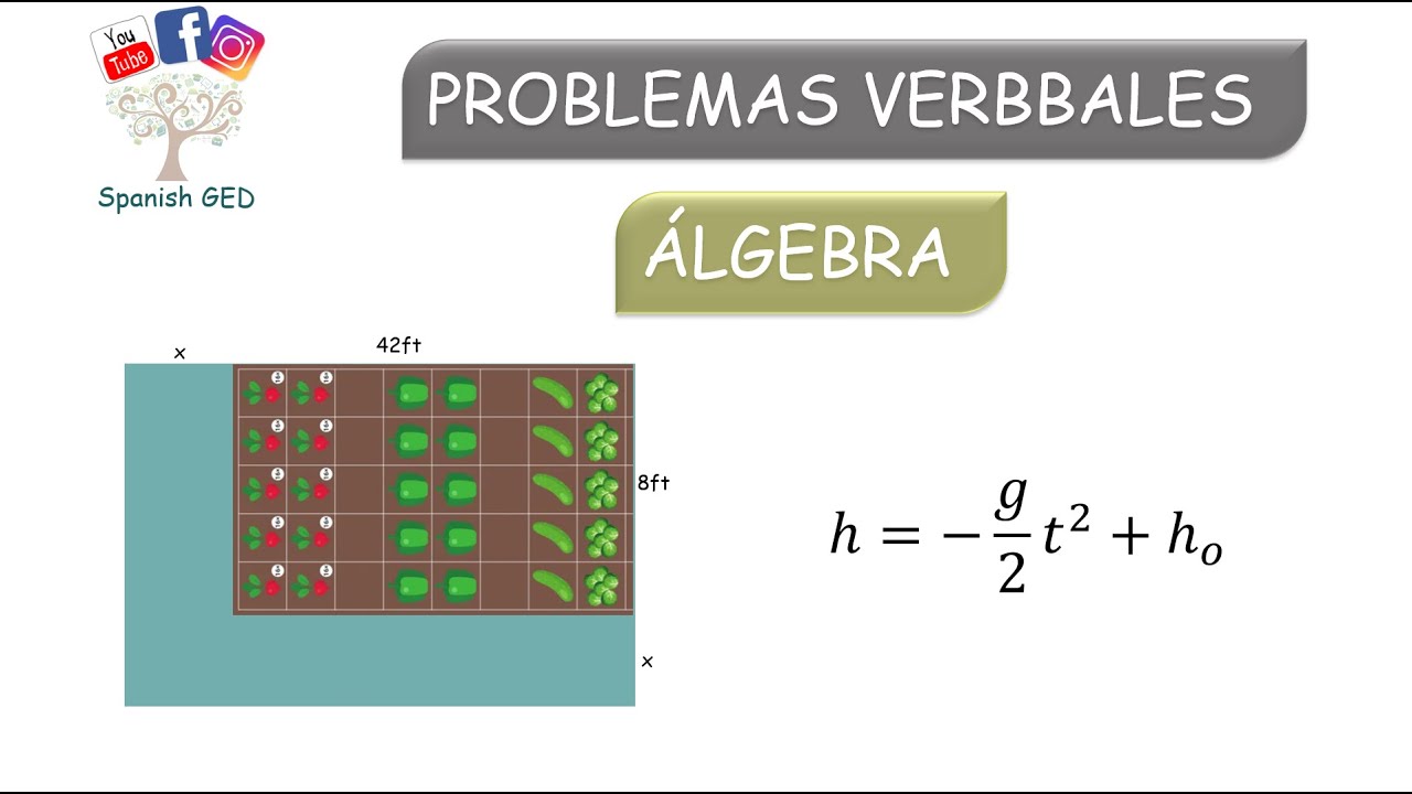 Problemas verbales - Álgebra - YouTube
