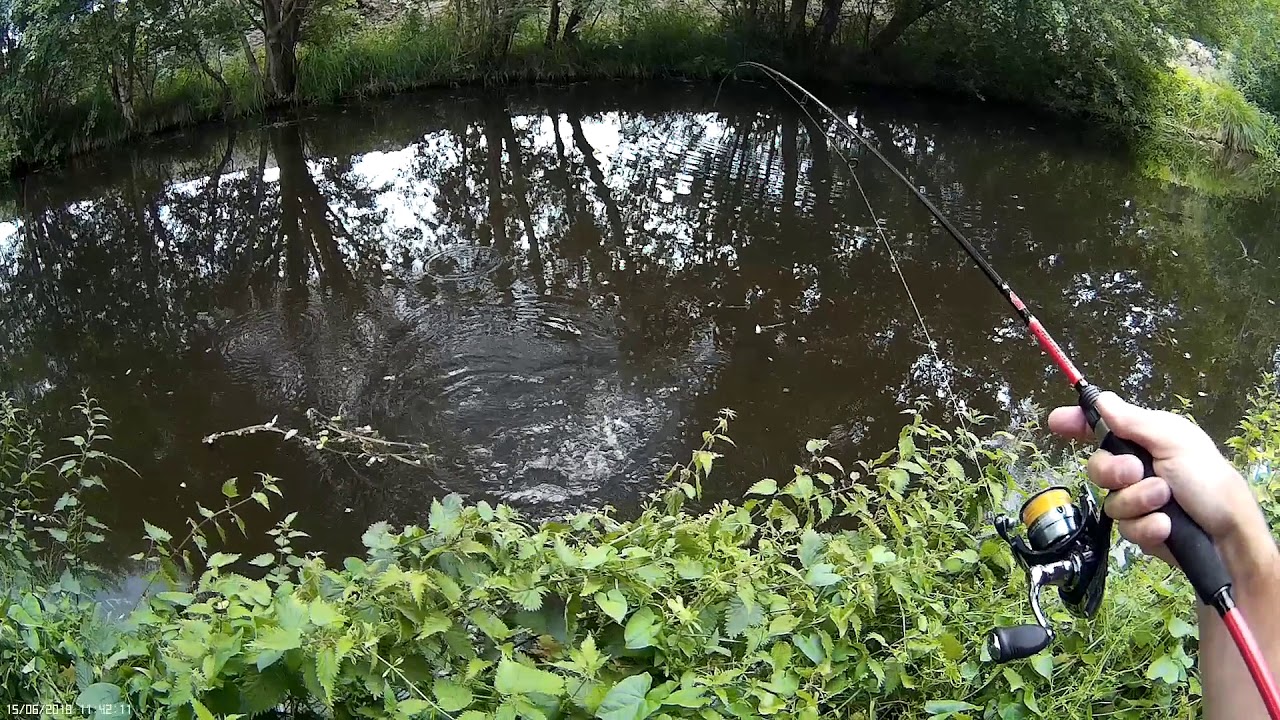 pike attack - YouTube