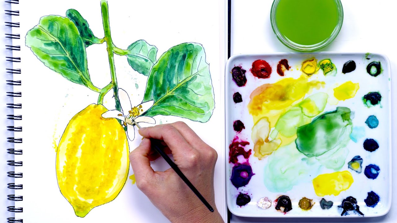 How to paint an lemon in watercolour and ink with Anna Mason - YouTube