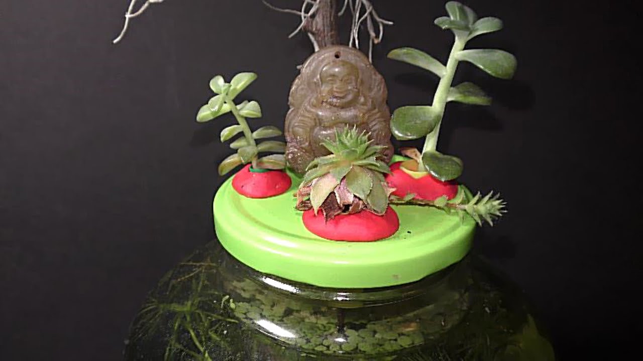 3-liter-mason-jar-aquarium-garden-diy-youtube