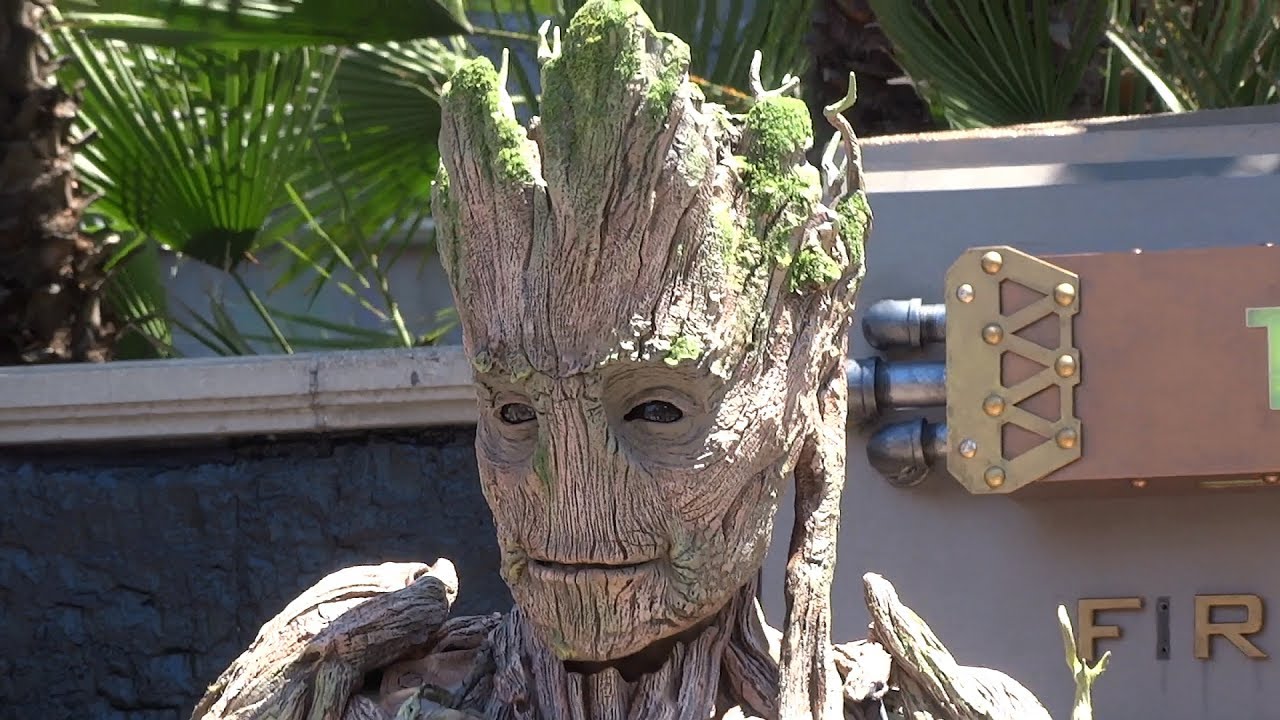 Groot character meet-and-greet at Disneyland - YouTube