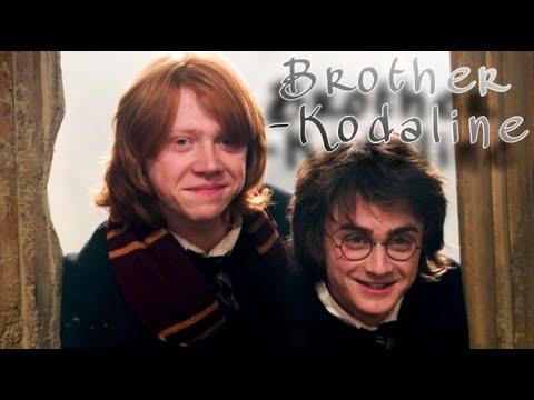 I’ve got you brother | Harry & Ron | Atheris