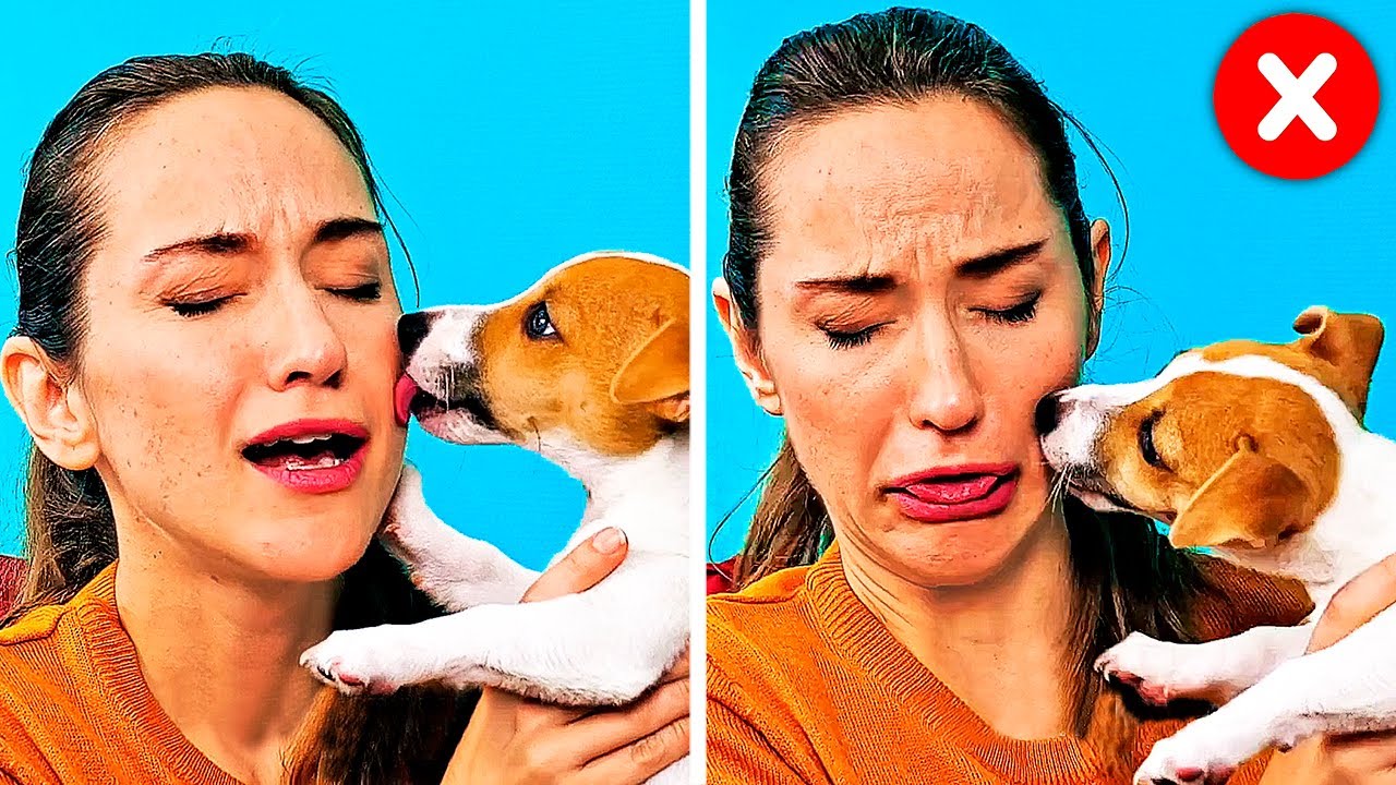 16 TRUCOS Y MANUALIDADES GENIALES QUE TODO DUEÑO DE MASCOTAS DEBE SABER ...
