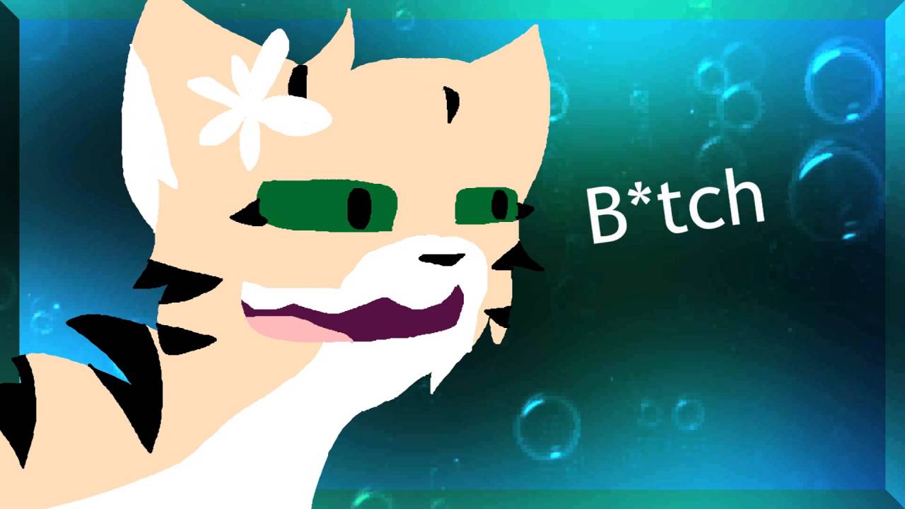 Hey B Tch Youtube