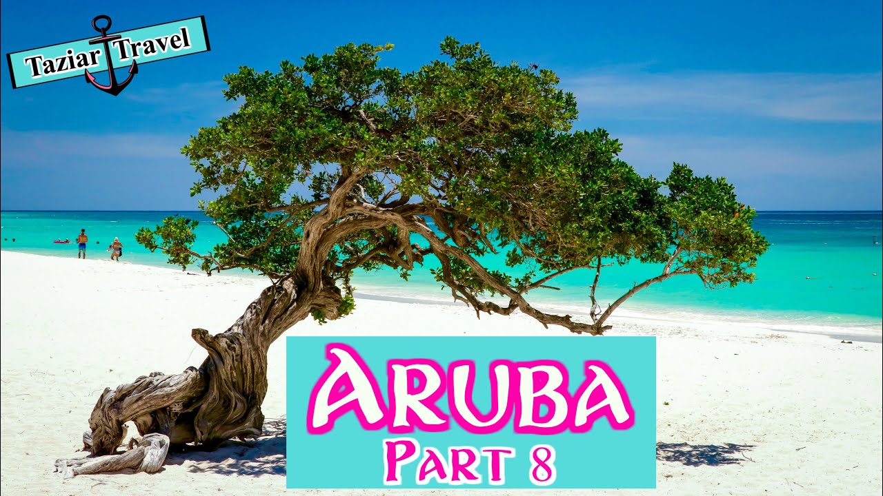 Aruba | Driving Around Aruba | Seeing the Sights Without the Cruise ...