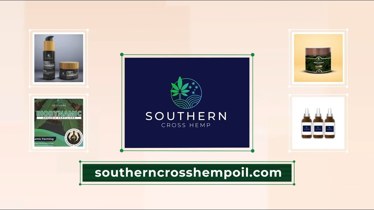 SCHO Visionary Explainer Video - YouTube