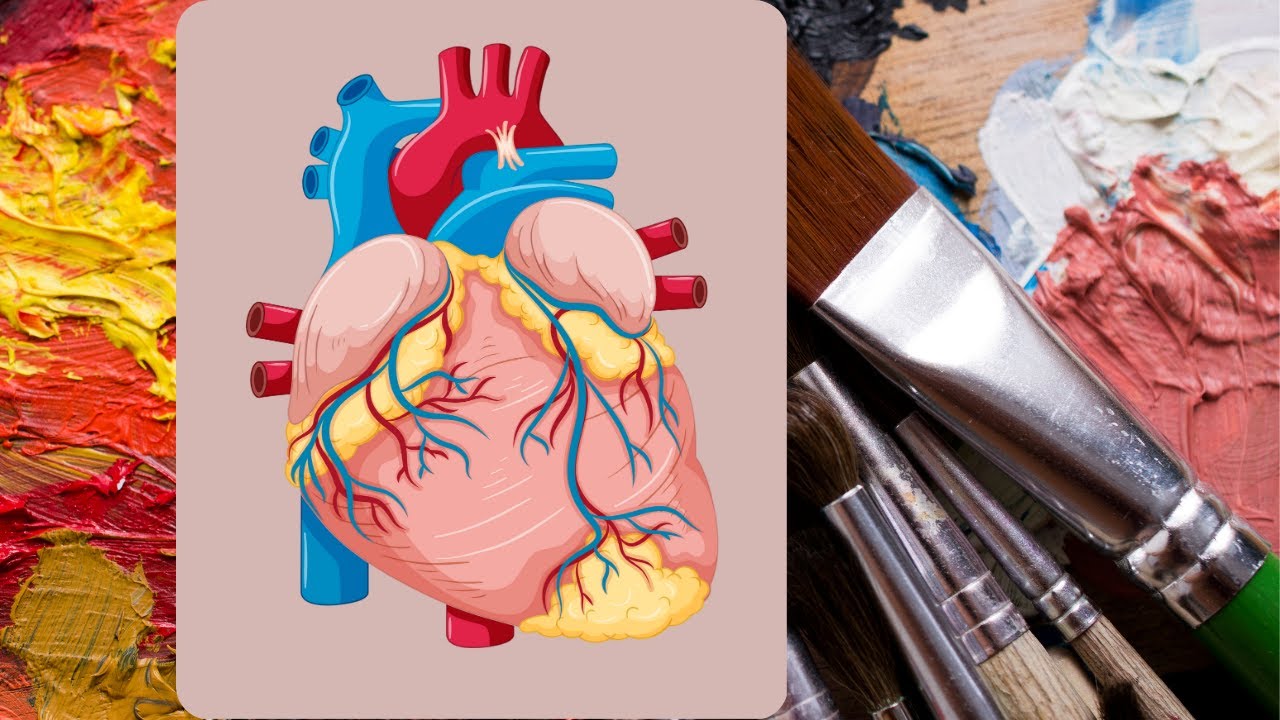 How to draw human heart|Portrait of aUnique Painter - YouTube
