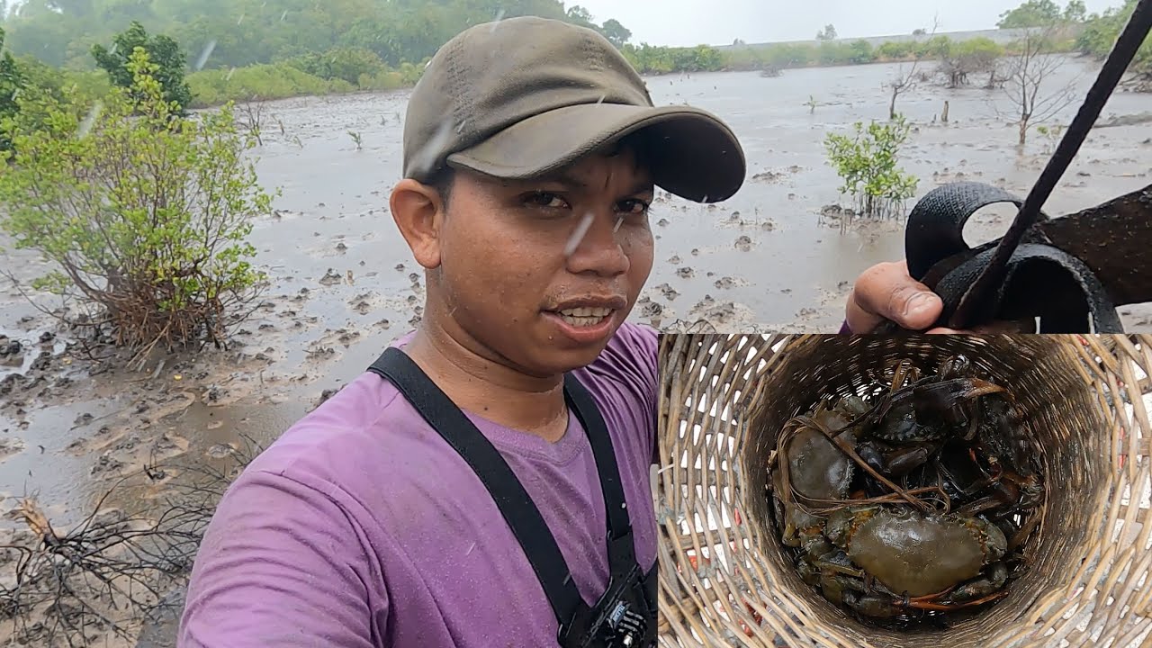 Solo Crab Hunt in the Rain | Catching Mud Crabs in the Swamp - YouTube