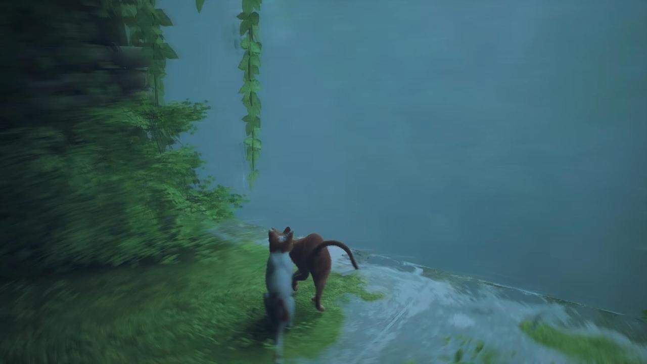 Stray beginning - YouTube