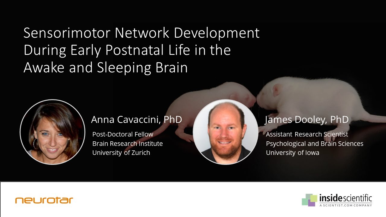 Sensorimotor Network Development During Early Postnatal Life in the ...