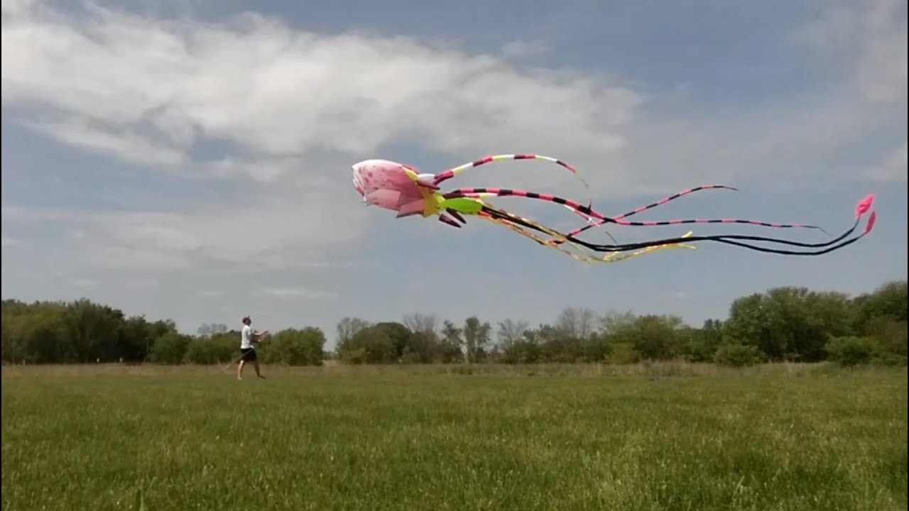 Jellyfish Kite at Kahl Halfway Prairie Park - YouTube