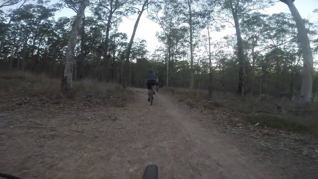 "The Front" mountain bike trail @ Ironbark Gully, Samford Conservation ...