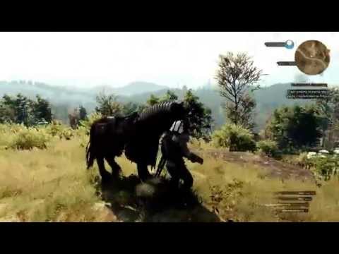Witcher 3 Wild Hunt - New Horses Mod
