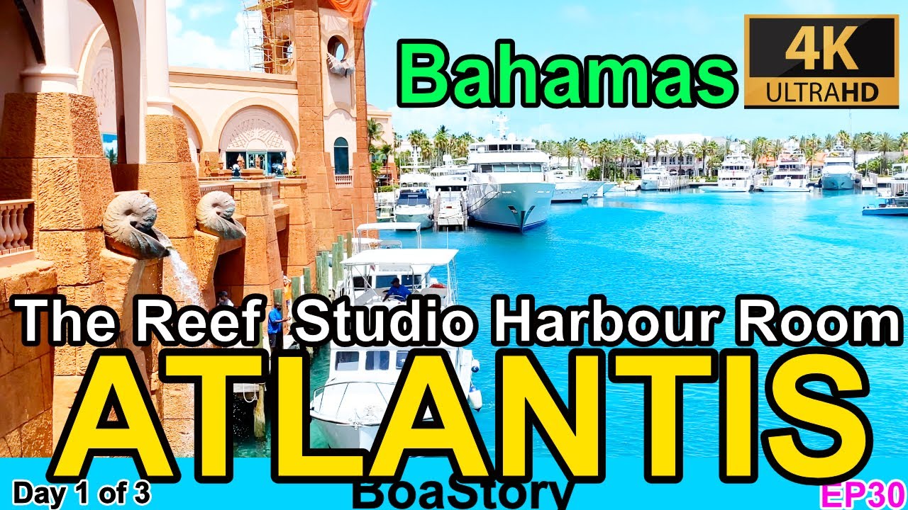 ATLANTIS BAHAMAS The Reef Studio Harbour Room Tour (Day 1) - YouTube