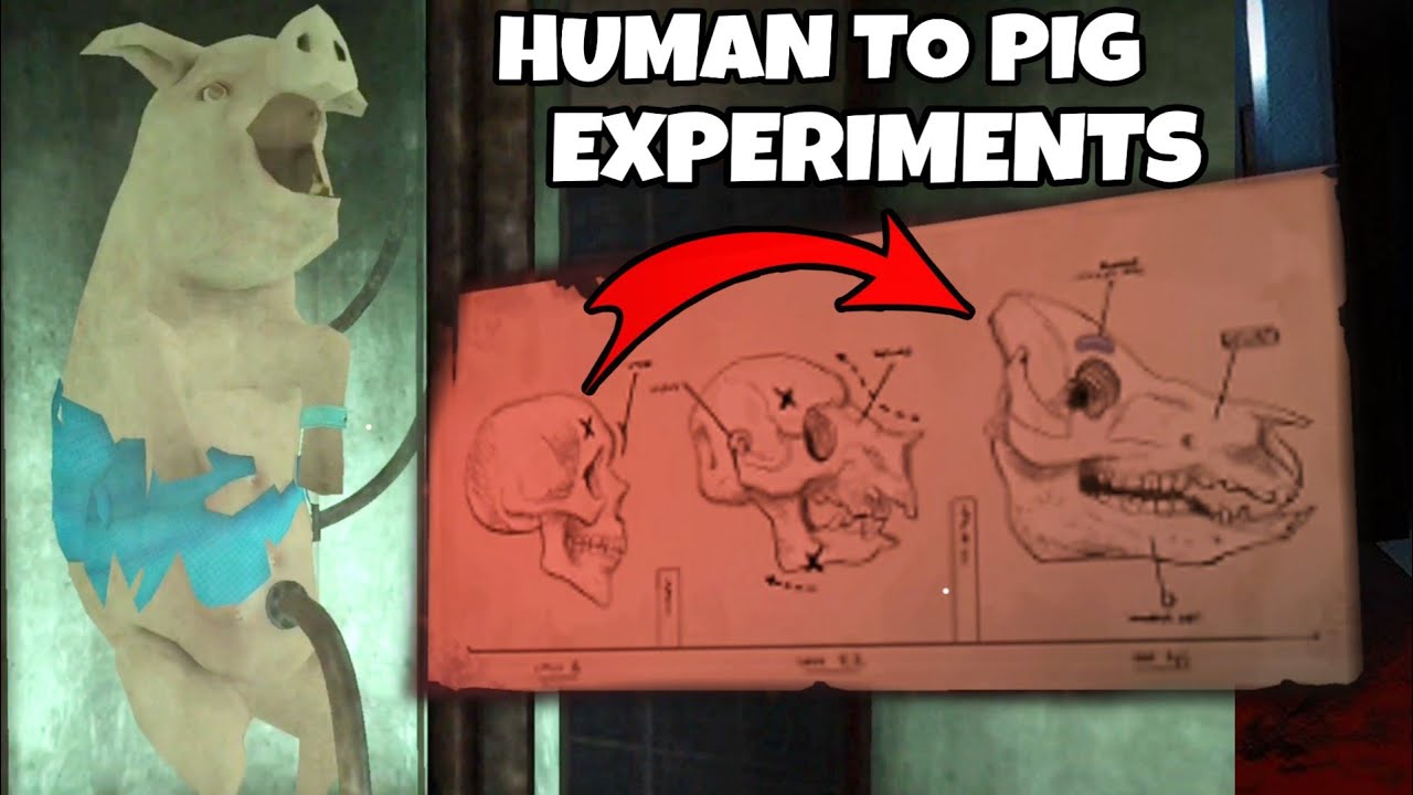 Mr Meat new Science Laboratory😱 [Mr Meat update 1.6.0] - YouTube