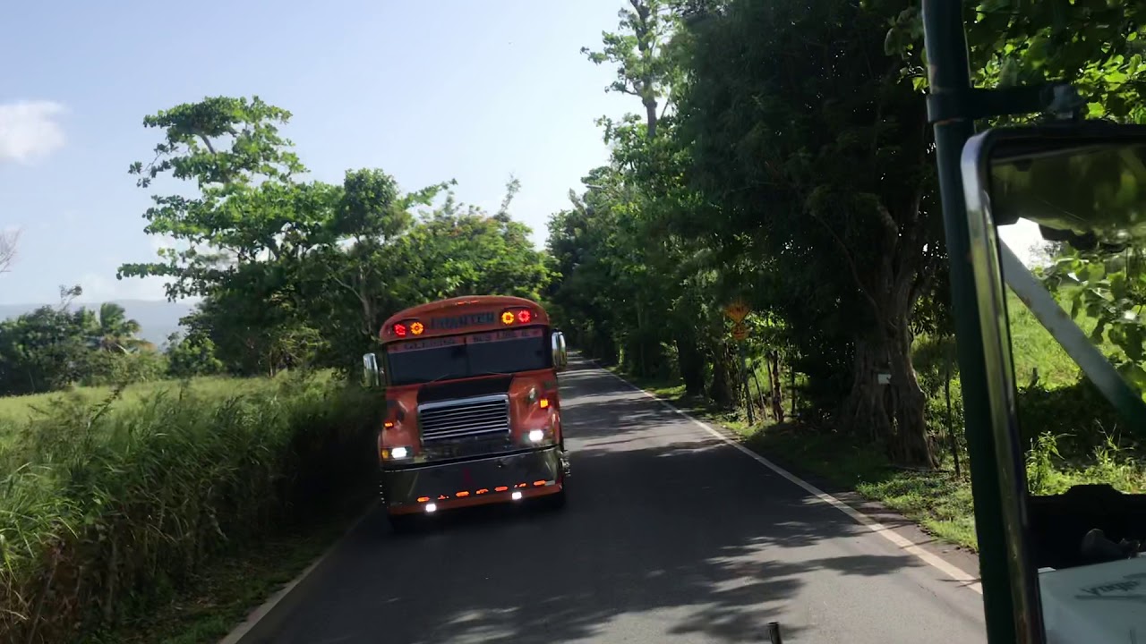 La Voladora Boricua y Glenda Bus Line - YouTube
