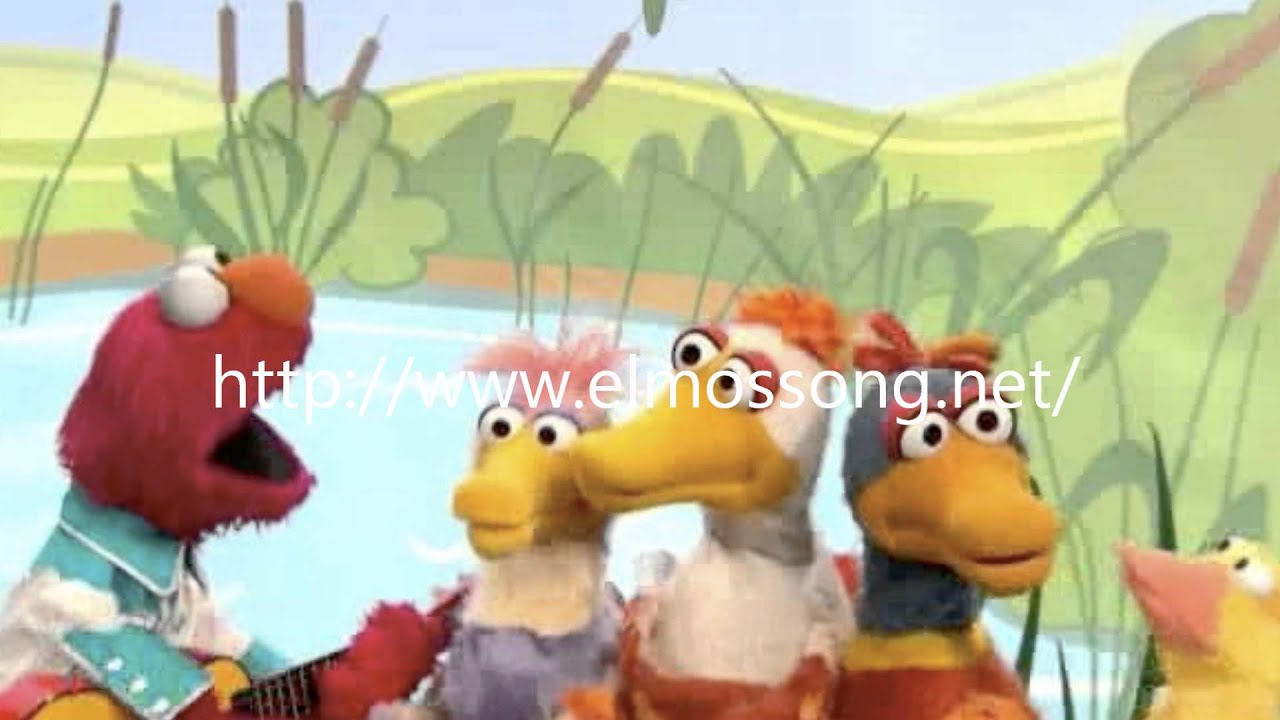 Elmos Ducks Elmossong - YouTube