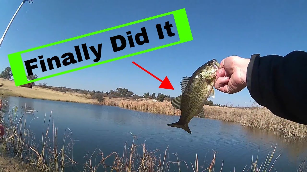 Fly Fishing Fail (GNU Valley Farm) - YouTube