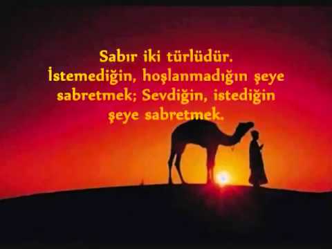 Həzrəti Əlinin ən gözəl sözləri