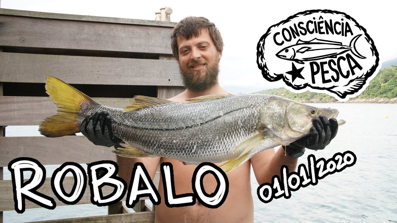 Robalo Ilhabela - 1 janeiro, 2020. Pesca submarina desembarcada e ...