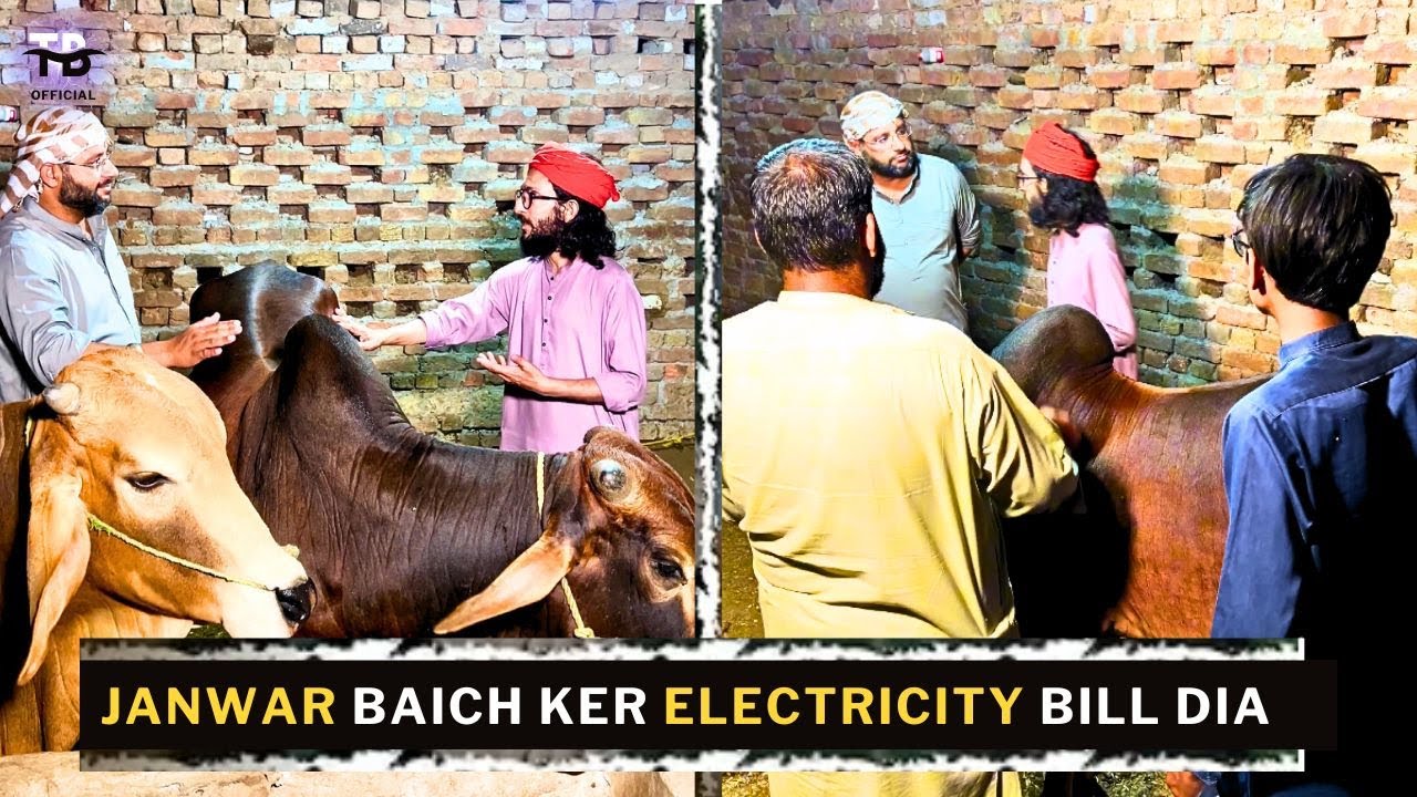 Janwar Baich ker Electricity Bill Dia | Short Film By Tich Button - YouTube