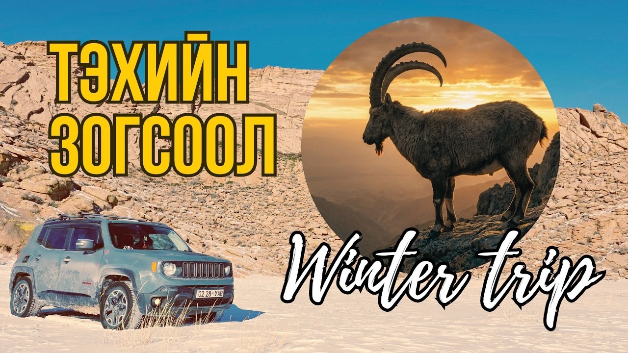 Тэхийн зогсоол. Завхан аймаг. Алдархаан сум. 2025 Winter.Tekhiin ...