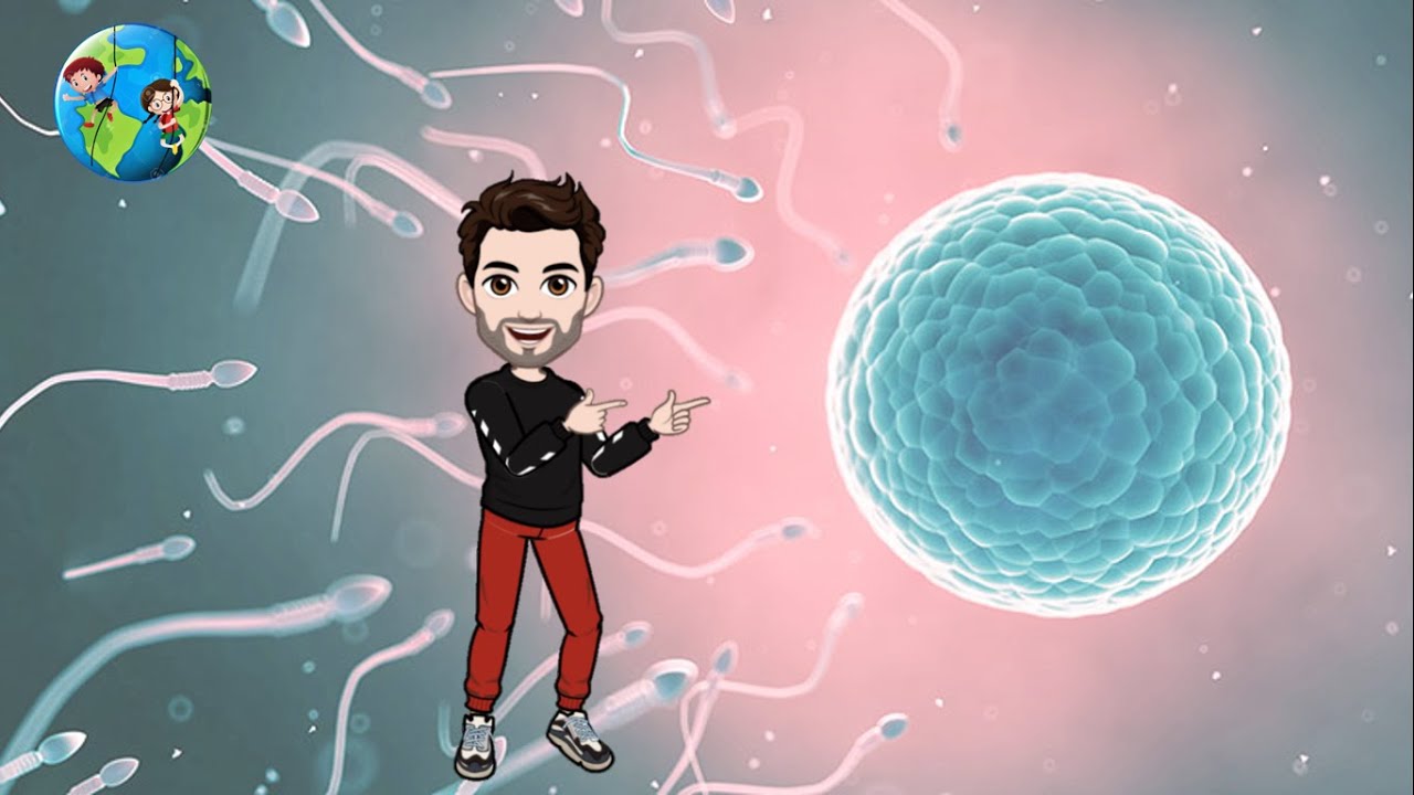 Más de 50 datos sobre reproducción - YouTube