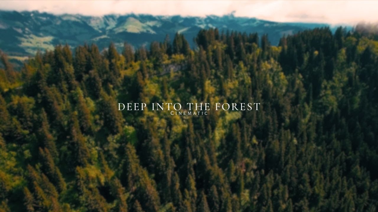 Deep Into the Forest | Cinematic Nature Film - YouTube