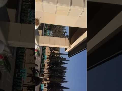 Serhed qoşunlari Şemkir