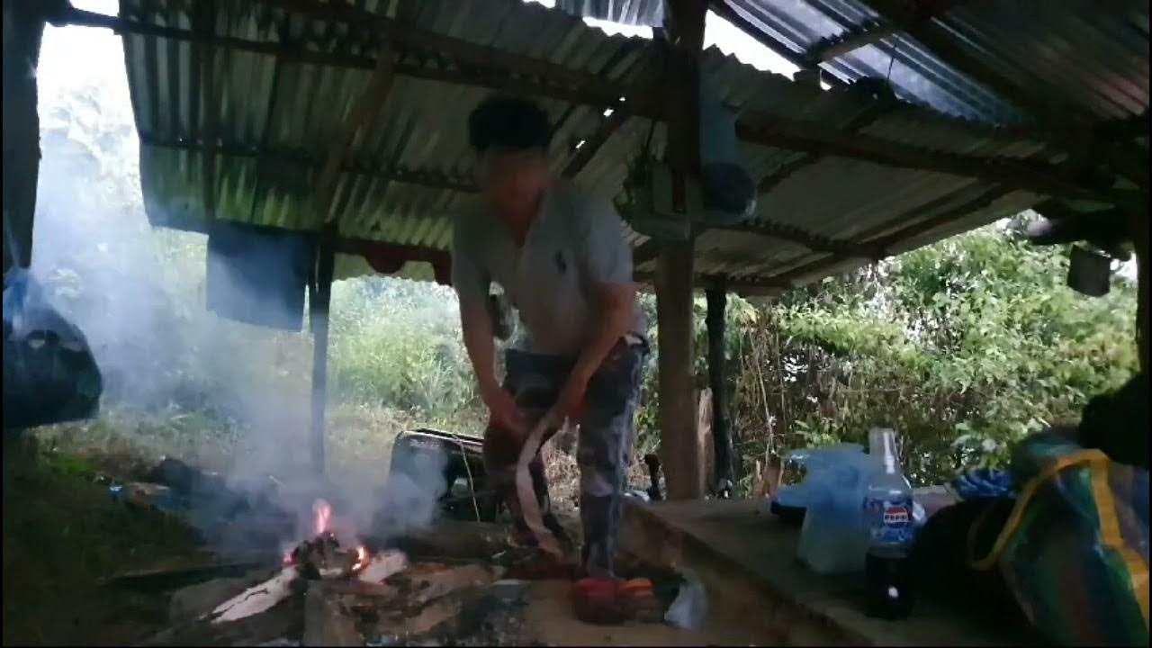 tag kis no sawv ntxov los yuav ua tshai noj es mus luaj teb 7.9.2024 - YouTube