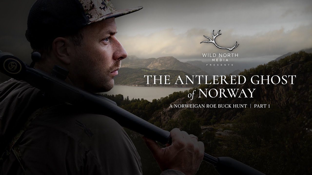 A Norwegian roe buck hunt | Part 1 | The antlered ghost of Norway - YouTube