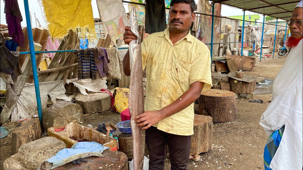 Kadal Vilangu Meen Cutting Video/Fish Cutting Skill - YouTube