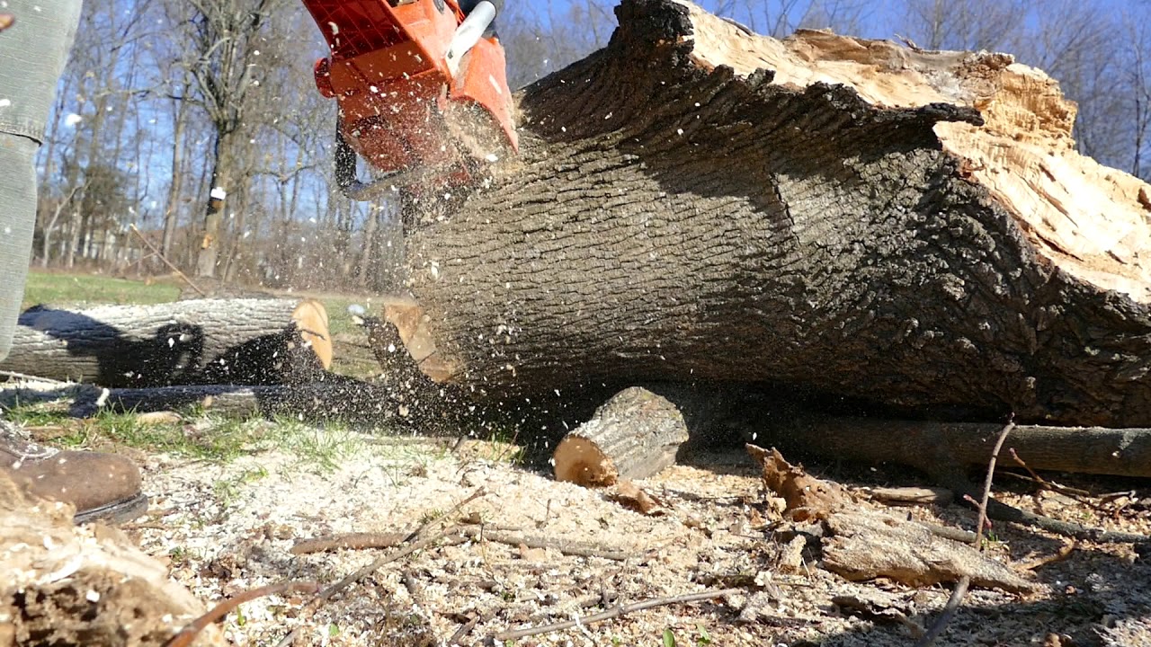Echo CS-370 cutting hard maple log - YouTube