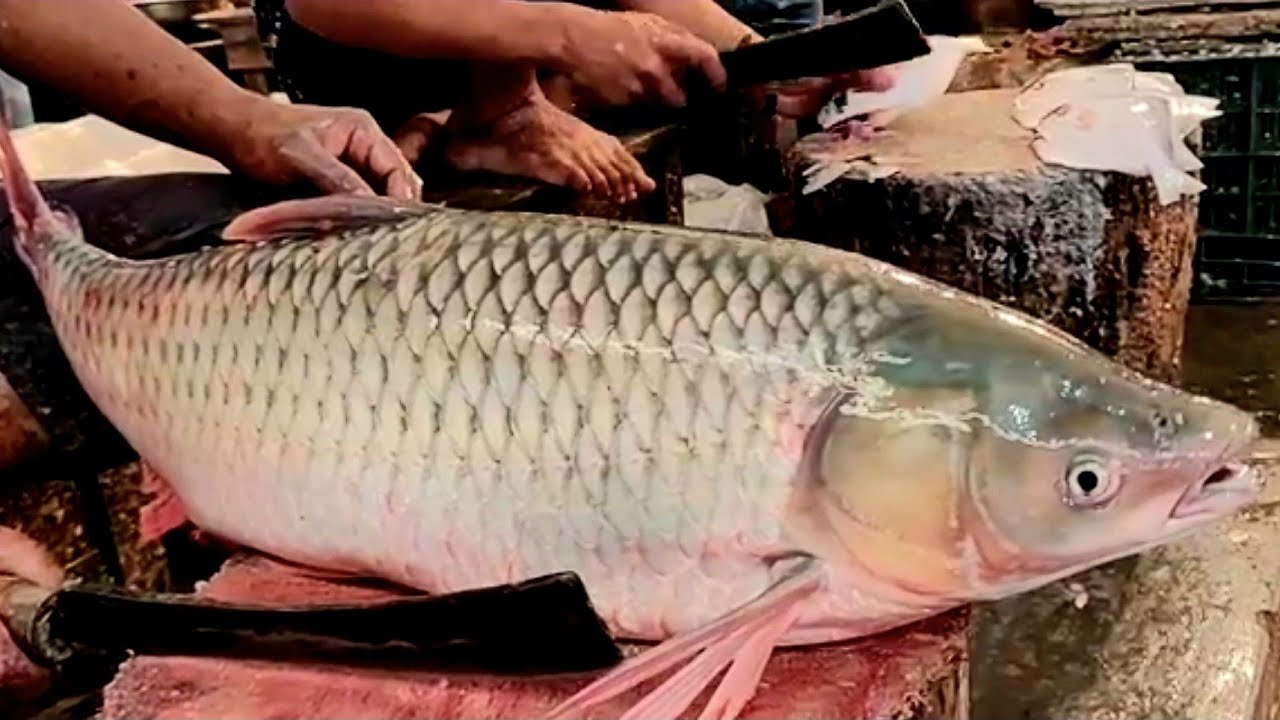 Wow! Two Giant Big Grass Carp Fish Cutting Experts Fish Cutter - YouTube