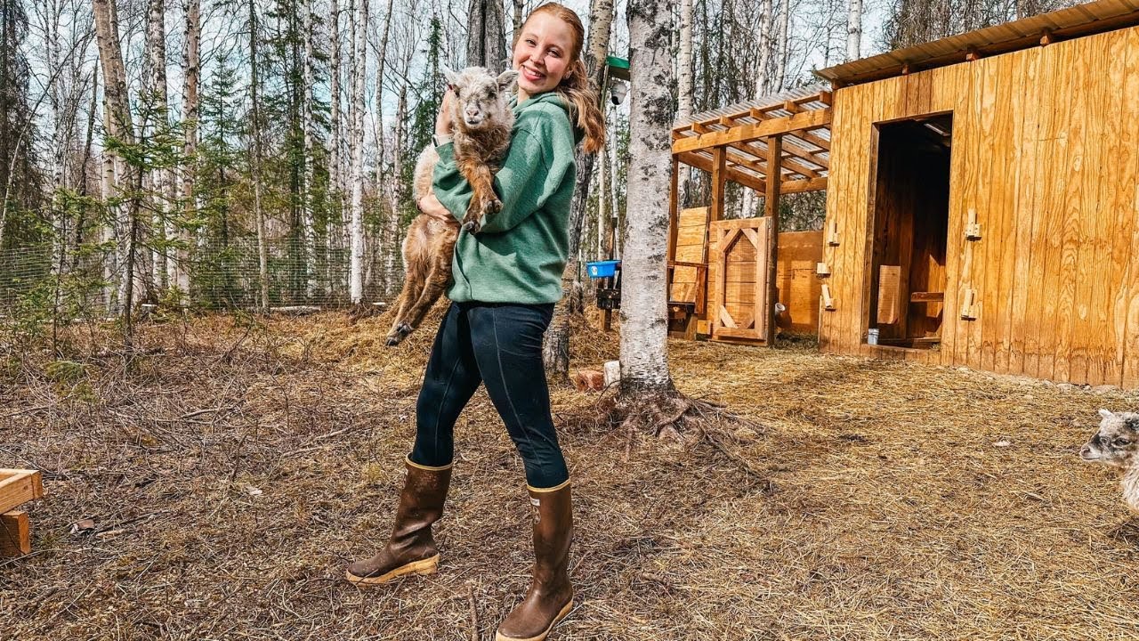 Snow Machines to Four Wheelers! ALASKA Spring break up at MY parents ...