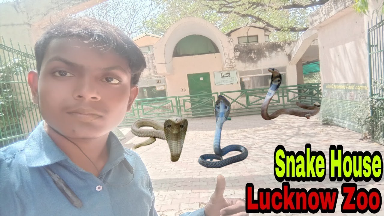 Lucknow Zoo | सांप घर | snake house | Raj Rails | Utter Pradesh India ...