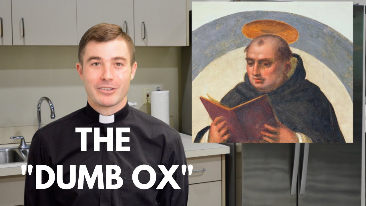 "The Dumb Ox" | St. Thomas Aquinas | Catholic Planner - YouTube