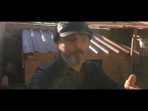 KANATLAR ALEMİ SAMSUN EDİT: MAHMUT ABİ BIKTIK YA :(