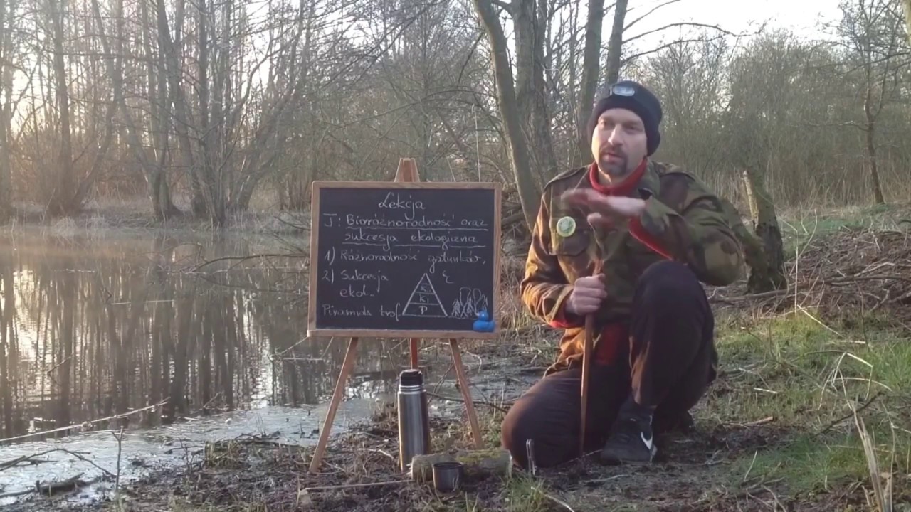 Zróżnicowanie gatunkowe i sukcesja ekologiczna - YouTube