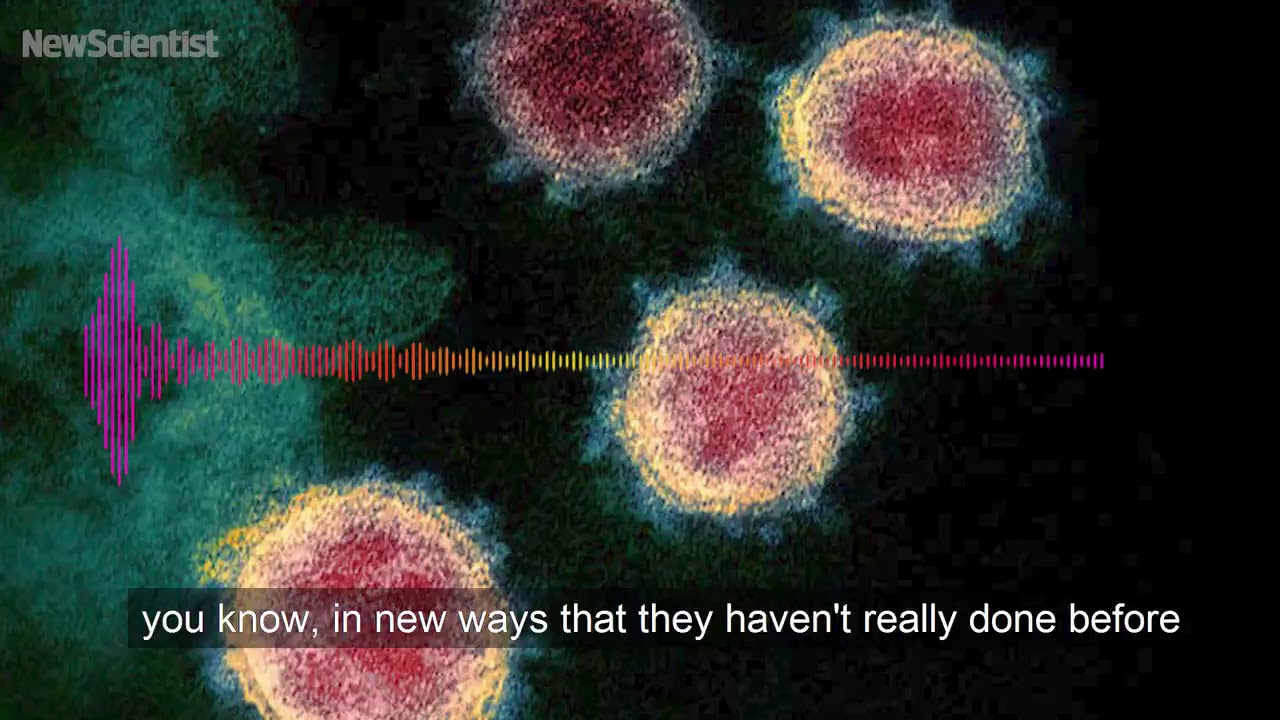 How do diseases jump from animals to humans? @ProfKateJones explains on ...