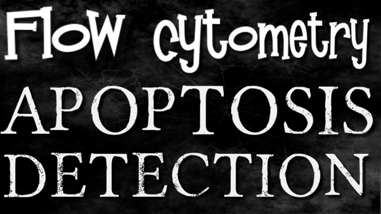 Detect apoptosis using Flow cytometry analysis- CSIR NET - YouTube
