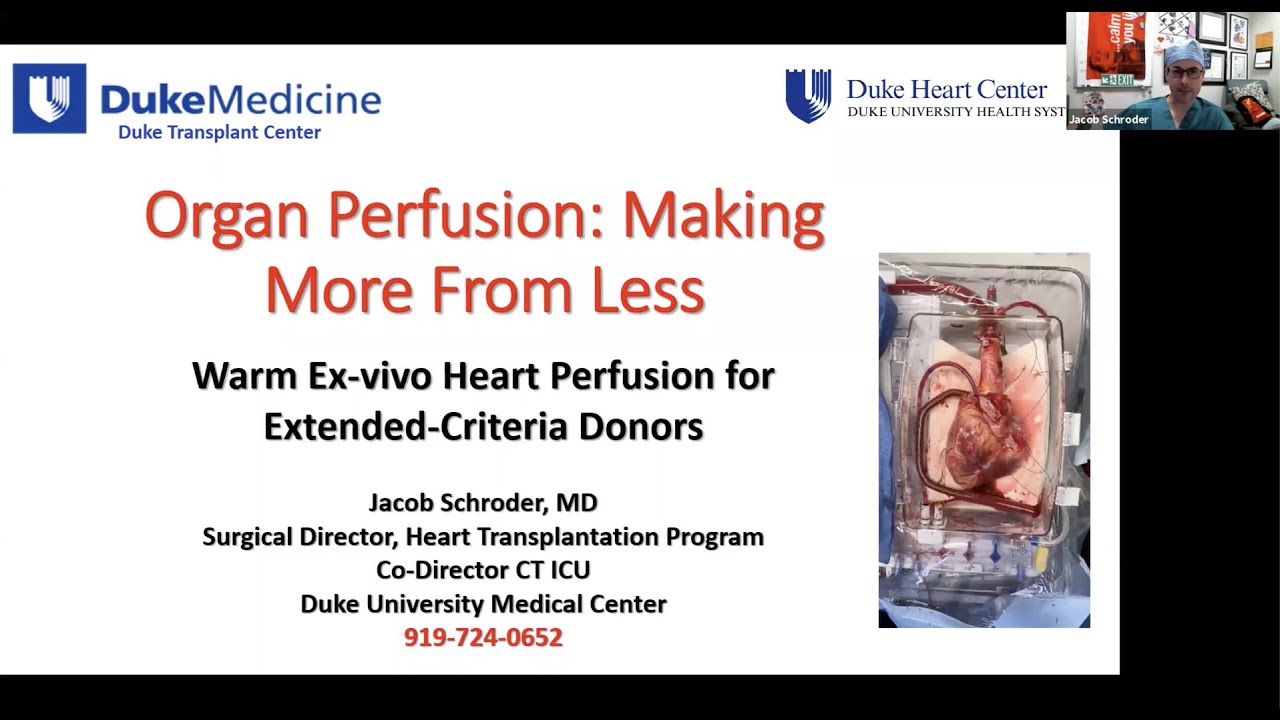 Organ Perfusion: Making More From Less – The Alliance Advanced Practice ...